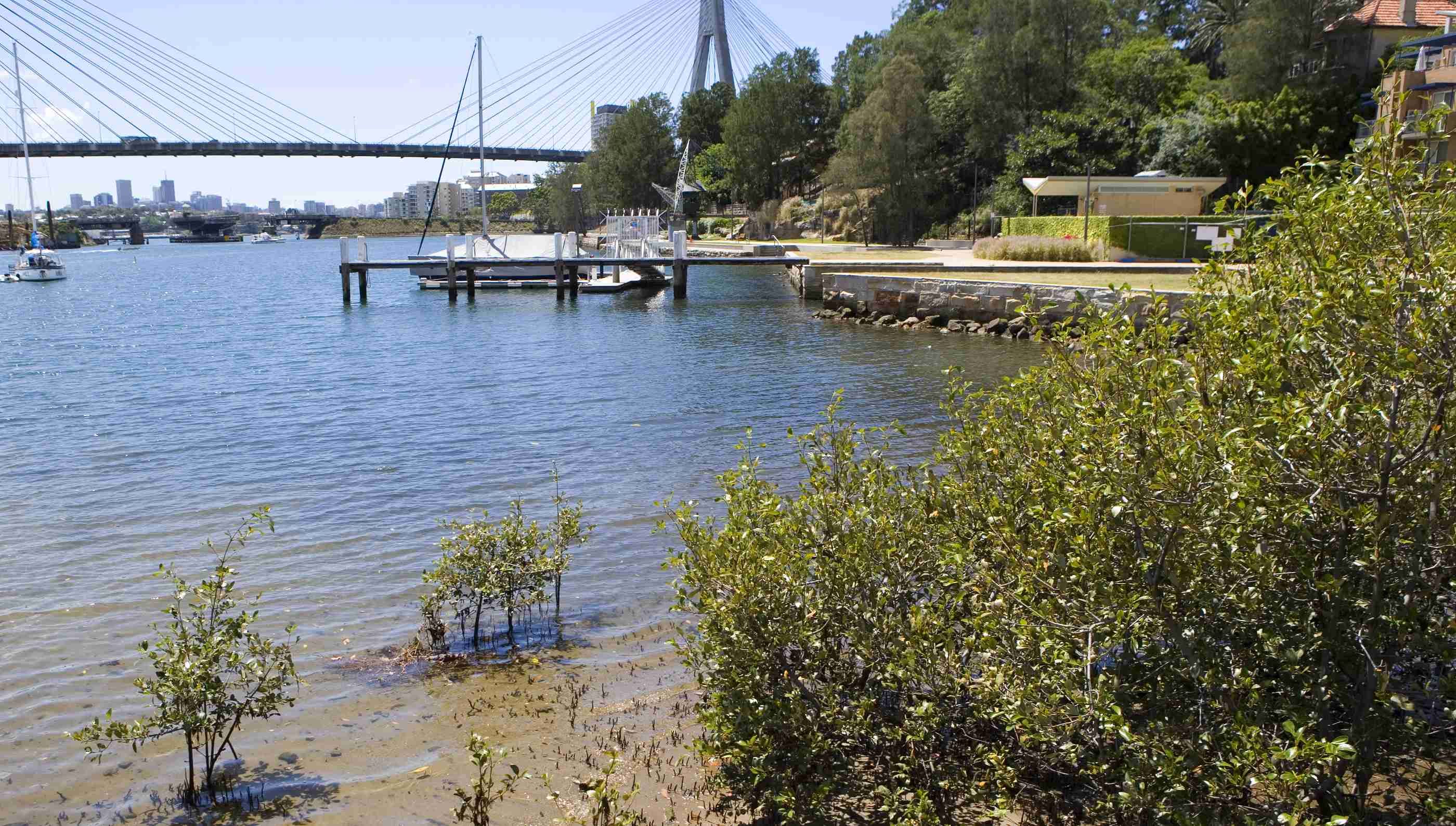Ford Civil | Projects | Glebe Foreshore